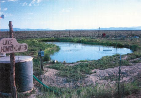 Farm Pond Design: Water Storage on the Homestead - Countryside